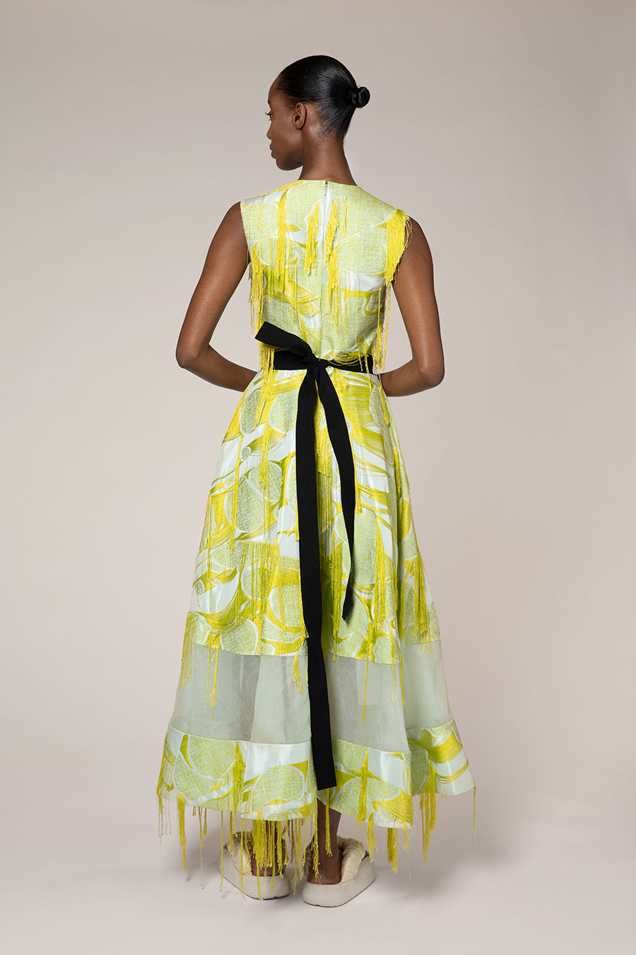 ANIPPE DRESS |Roksanda|Ready to Wear – ROKSANDA